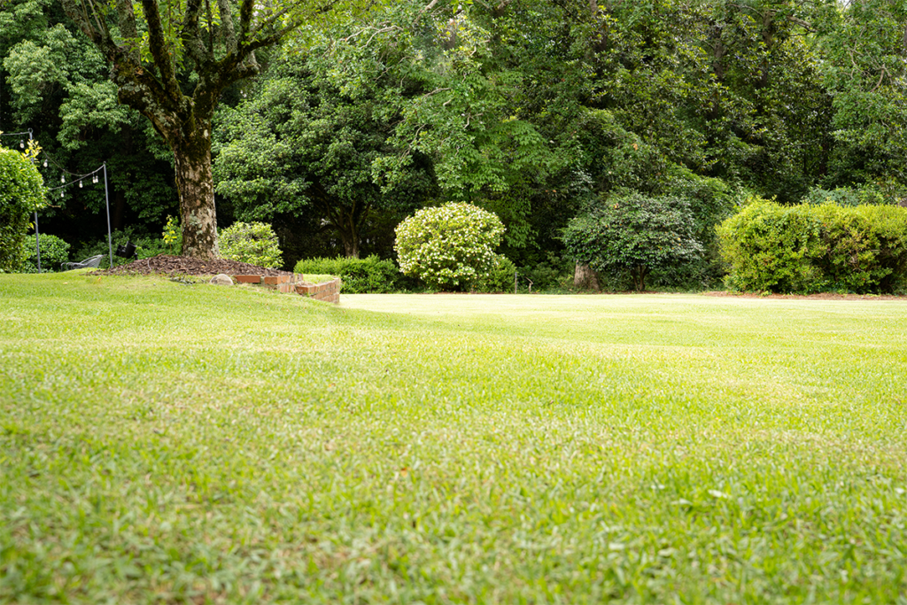 Welcome to Modern Turf - Modern Turf