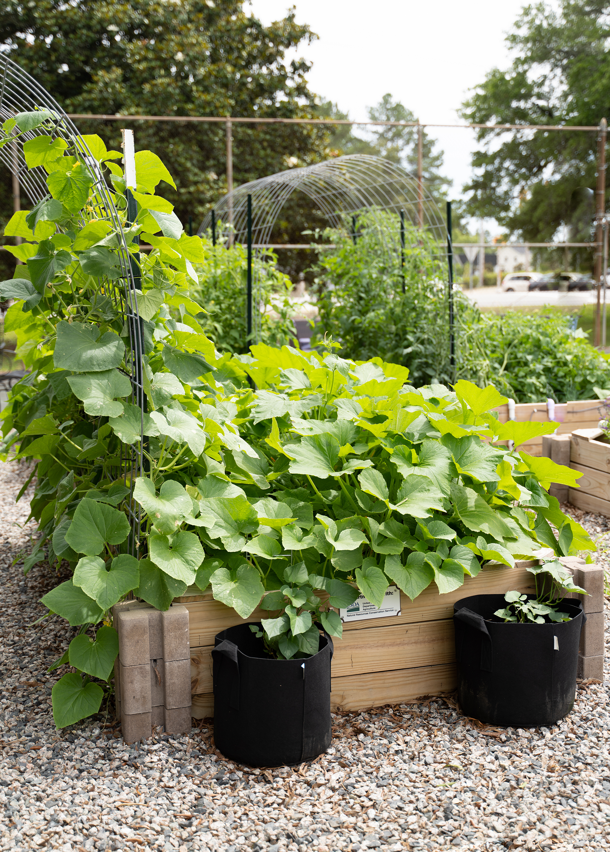 Ways to Use Blended Earth - Modern Turf