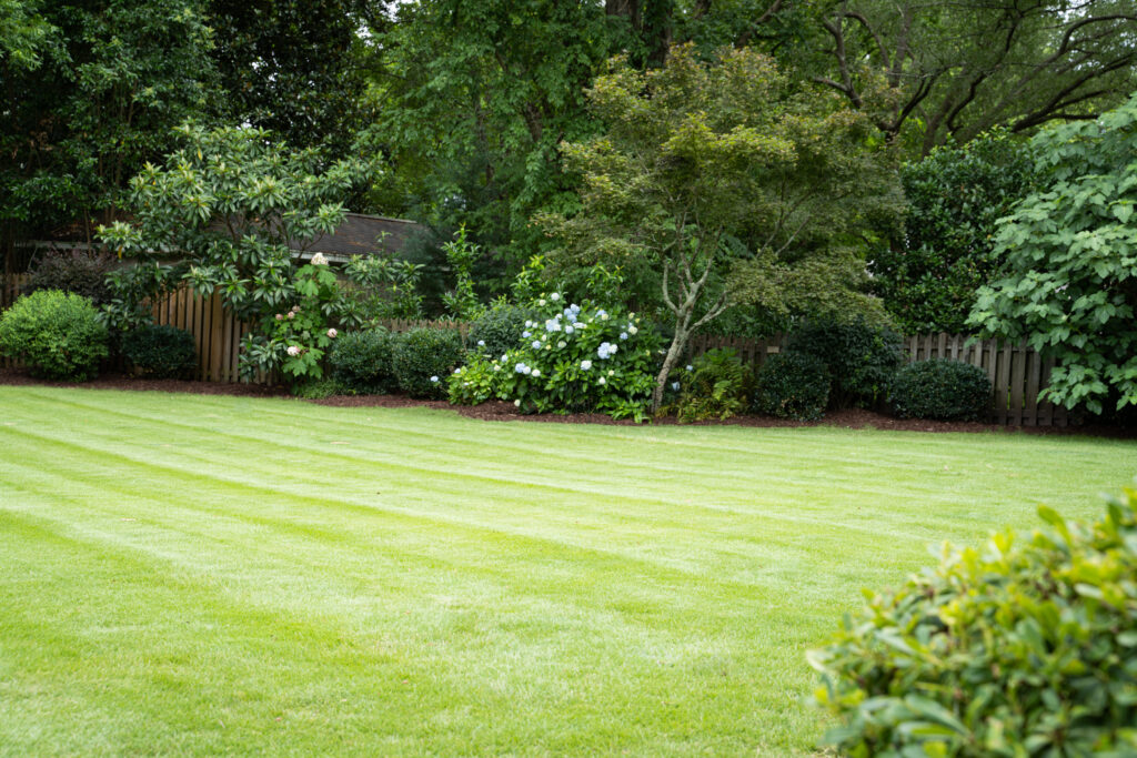 Welcome to Modern Turf - Modern Turf