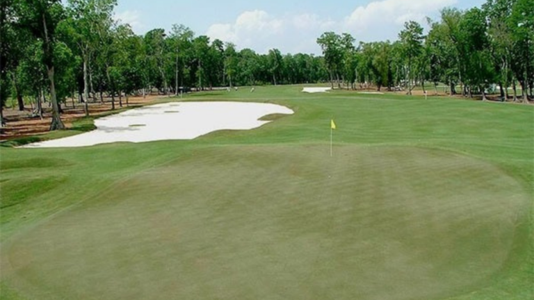 Welcome to Modern Turf - Modern Turf